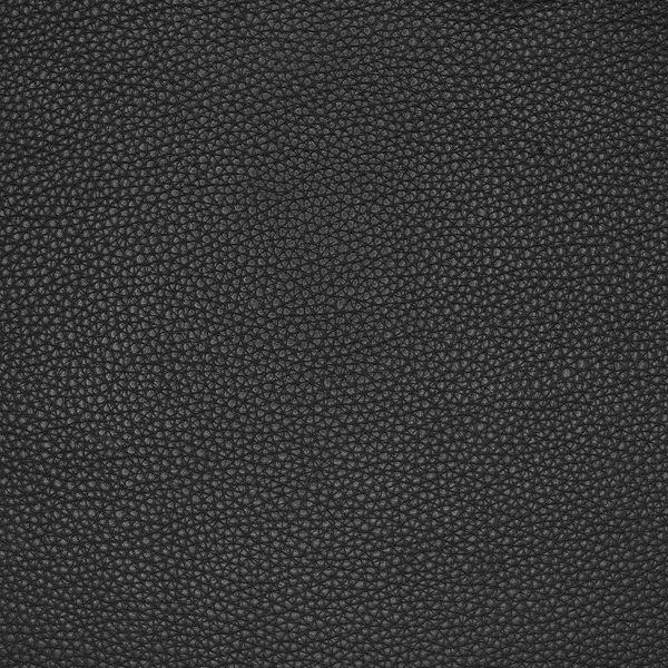 ACCOMPLICE | CAPSULE